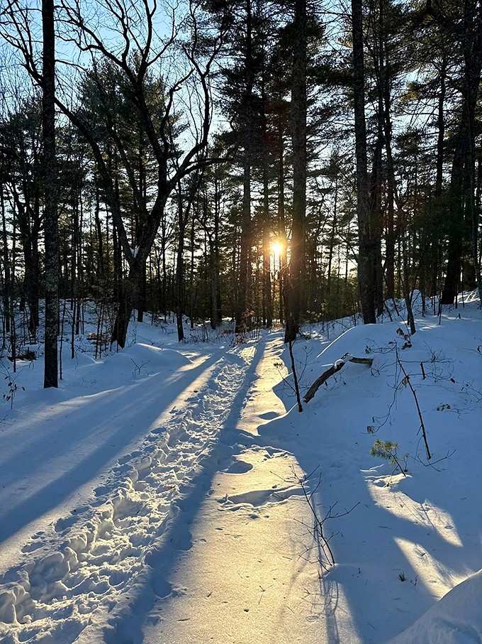 Winter turns the reservation into something stark and beautiful. Bring microspikes and your sense of wonder.