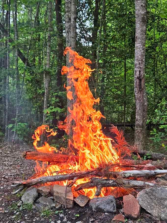 That's not a campfire. That's a full-on declaration that the weekend has officially started.
