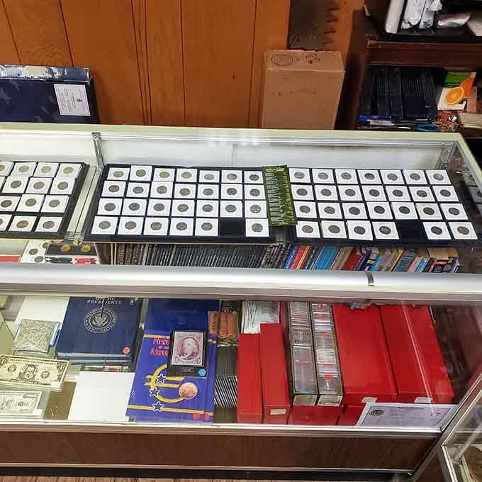 Rows of coins in neat little holders, proof that serious collectors and casual browsers both belong here.