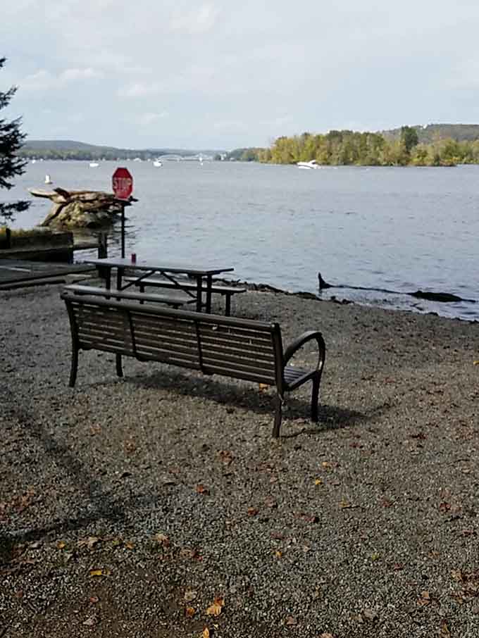 A riverside bench offering front-row seats to nature's show, no ticket required for this performance.