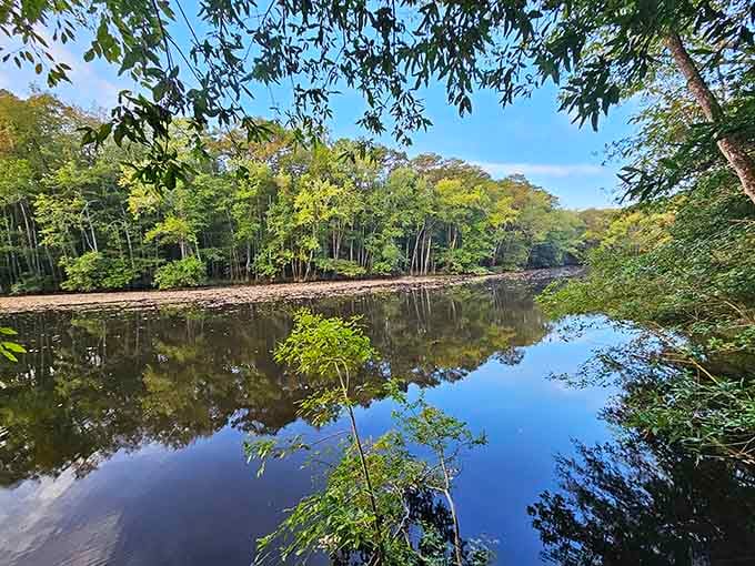Still water mirrors a perfect blue sky, making Congaree's river look almost too beautiful to be real.