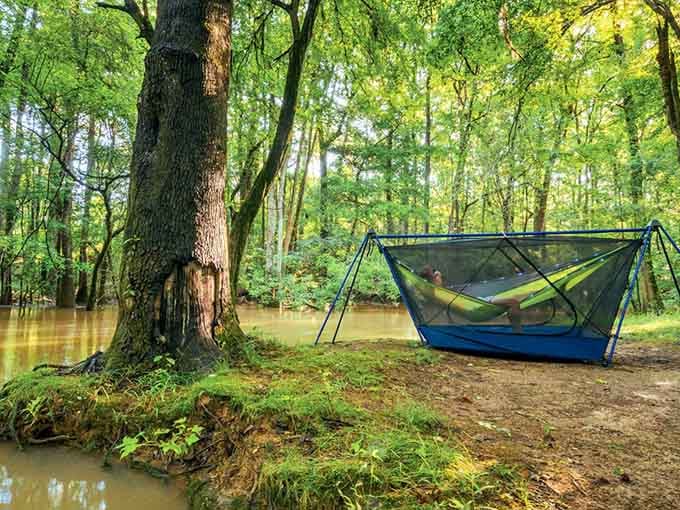 Hammock camping at Congaree, suspended between ancient trees and rising water, is genuinely next-level relaxation.
