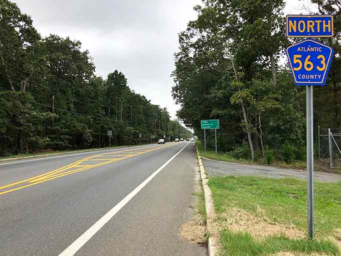 Northern sections where the forest reclaims its territory, standing sentinel along this peaceful county corridor.