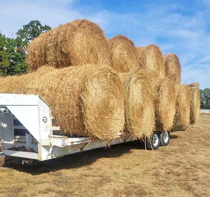 A trailer stacked high with golden hay bales under a blue Missouri sky, proof that someone here means serious business.