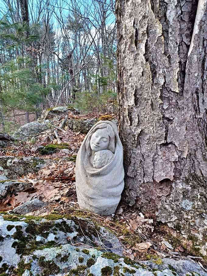 Someone left a little art in the woods, and honestly it fits right in with the scenery.