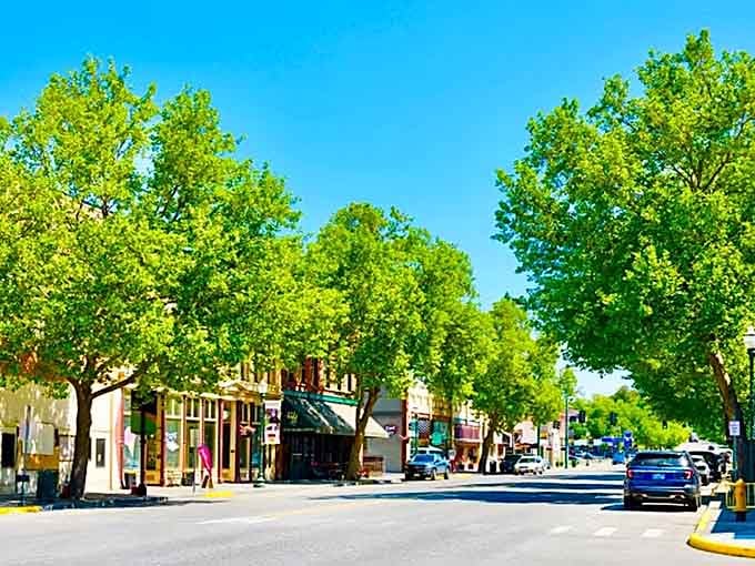 Downtown Dayton in full summer bloom, where the trees are tall and the parking is genuinely free.