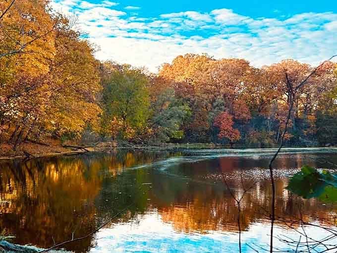 Fall turns this scenic lake into a painting so vivid, you'll check twice to make sure it's real.