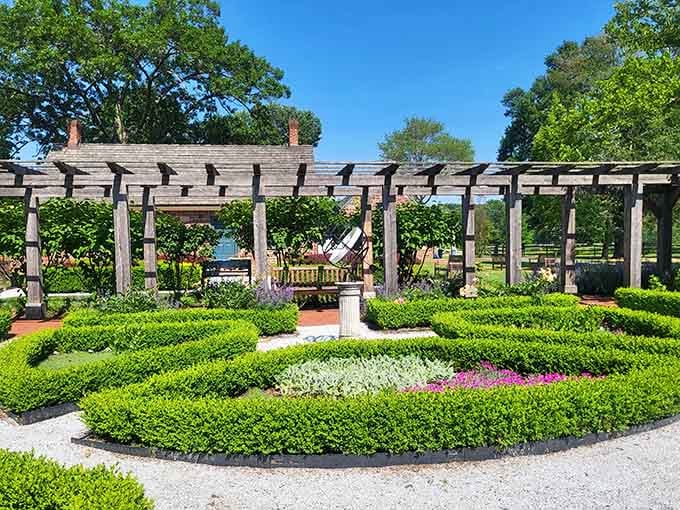 The pergola and knot garden, where boxwood hedges curl like green calligraphy under a perfect blue sky.