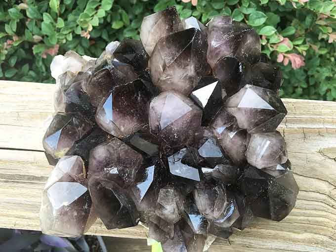 That deep smoky purple cluster didn't come from a store. Someone earned this beauty with their own two hands.