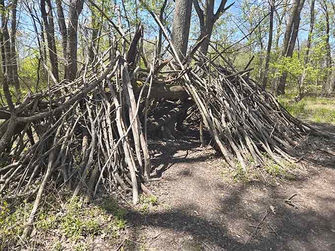 Someone's ambitious fort-building project stands ready for woodland adventures or hiding from adult responsibilities.