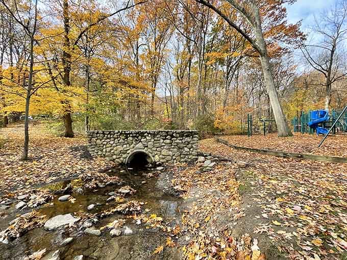 Lt. Owen Fish Park's stone bridge sits quietly among golden autumn leaves, looking like a scene from a storybook.