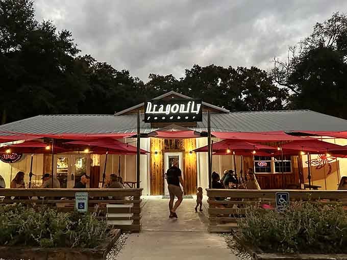 Dragonfly Food Bar glows warmly at dusk, its red umbrellas and string lights promising a genuinely good evening ahead.
