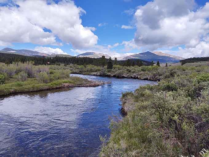 The Middle Fork meanders through South Park basin where mountains meet meadows in perfect Rocky Mountain harmony.