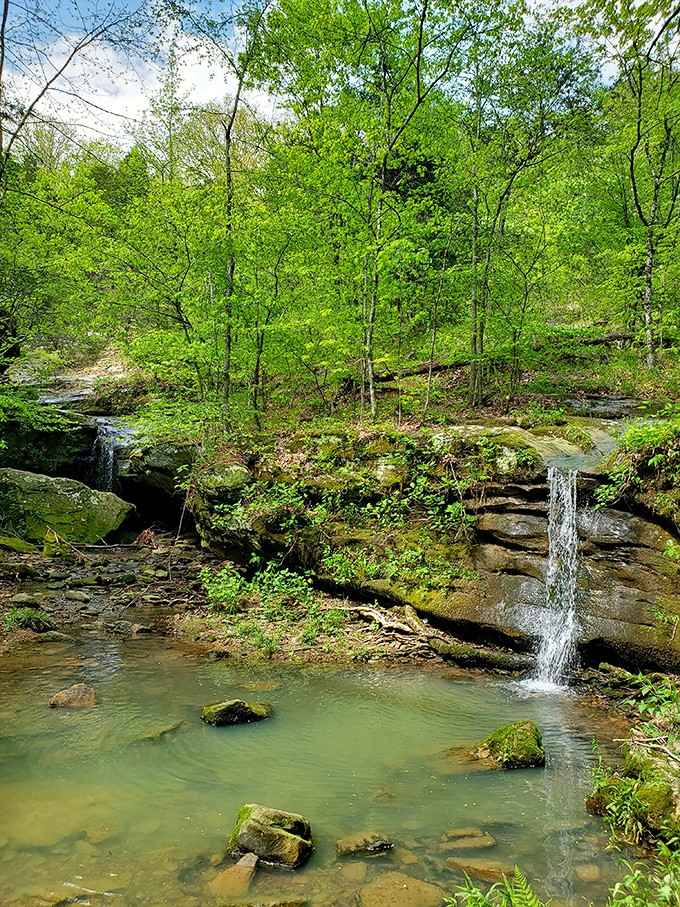 Two waterfalls tumbling into a clear green pool. Southern Illinois apparently decided to stop playing around entirely.
