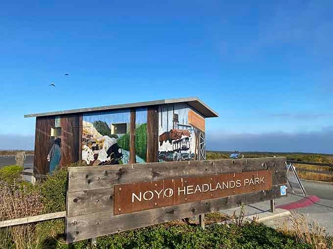 Noyo Headlands Park greets you with a mural and wide open sky, which is a pretty solid welcome to any park.