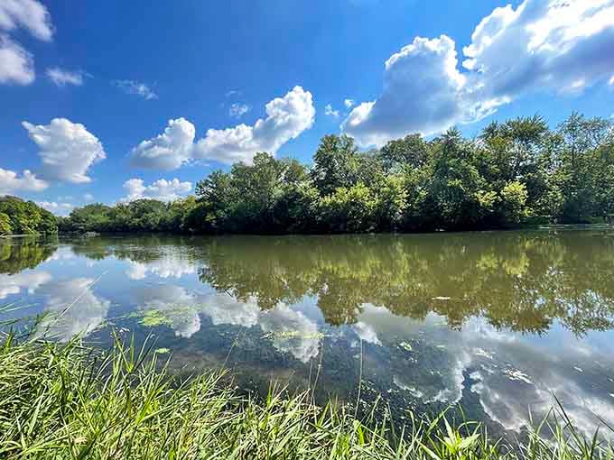 Mirror-like reflections double your nature experience here, where clouds and trees create stunning symmetry on calm waters.