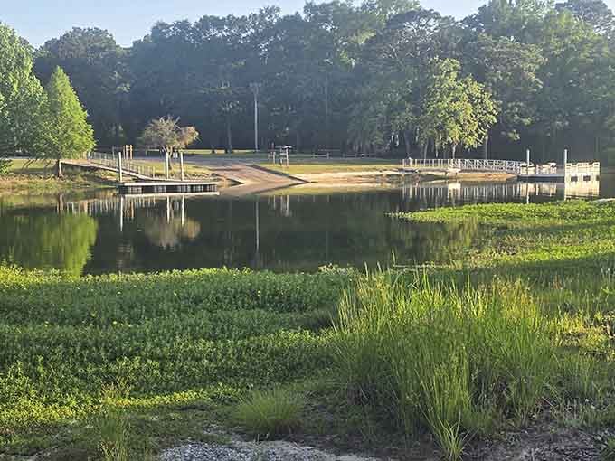 Golden morning light spills across the boat ramp and docks, turning an ordinary Georgia morning into something genuinely worth waking up for.