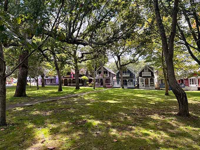 Step through the trees and suddenly you're somewhere else entirely. That's the magic of this neighborhood.