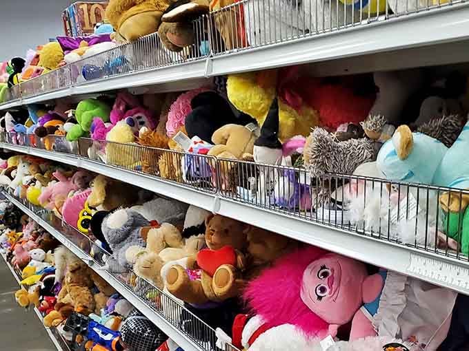Hundreds of stuffed animals staring back at you, each one hoping today is their lucky day.