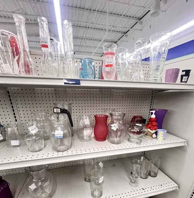 Glass vases and pitchers lined up on shelves, the kind of finds that look expensive on a mantle but cost almost nothing here.