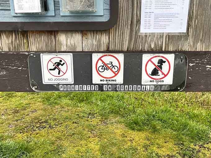 These signs keep the boardwalk peaceful for wildlife, because even birds deserve a break from joggers and unleashed enthusiasm.