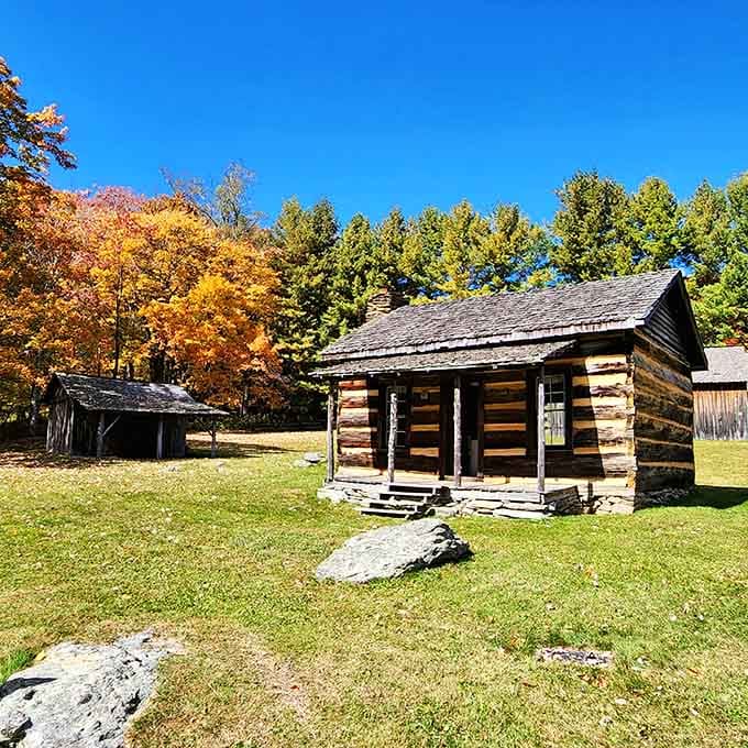Historic cabins surrounded by fall colors offer a glimpse into mountain life before Wi-Fi became essential.