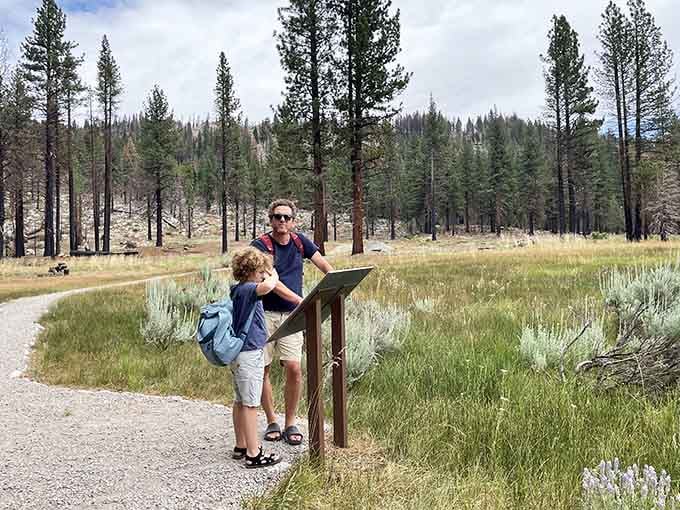 Trail markers guide explorers through landscapes that make you wonder why anyone invented television in the first place.