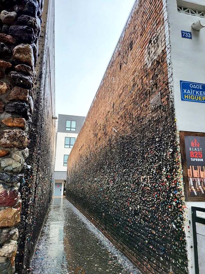 Even a rainy day can't dampen the spirit of Gum Alley, where the glistening wet walls somehow look even more dramatic.