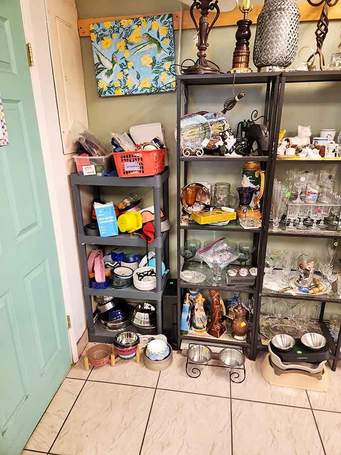 Glassware, figurines, and decorative pieces crowd every shelf, turning a simple browse into a genuinely satisfying archaeological dig.