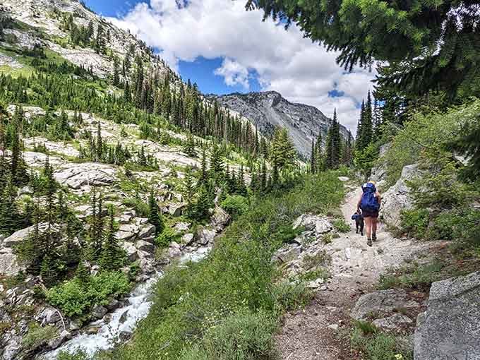 A hiker and her dog tackle a rocky trail beside a rushing creek, with granite peaks daring them to keep going.