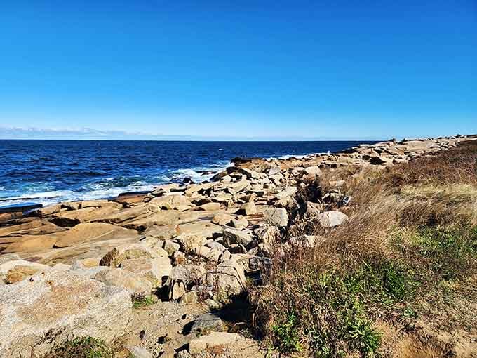 Rocky shoreline meets crashing waves in an endless dance, the kind of view that makes you understand why people write poetry.