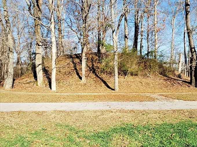 The Chickasaw Indian Mounds stand quietly in Hamilton, carrying thousands of years of history without saying a word.