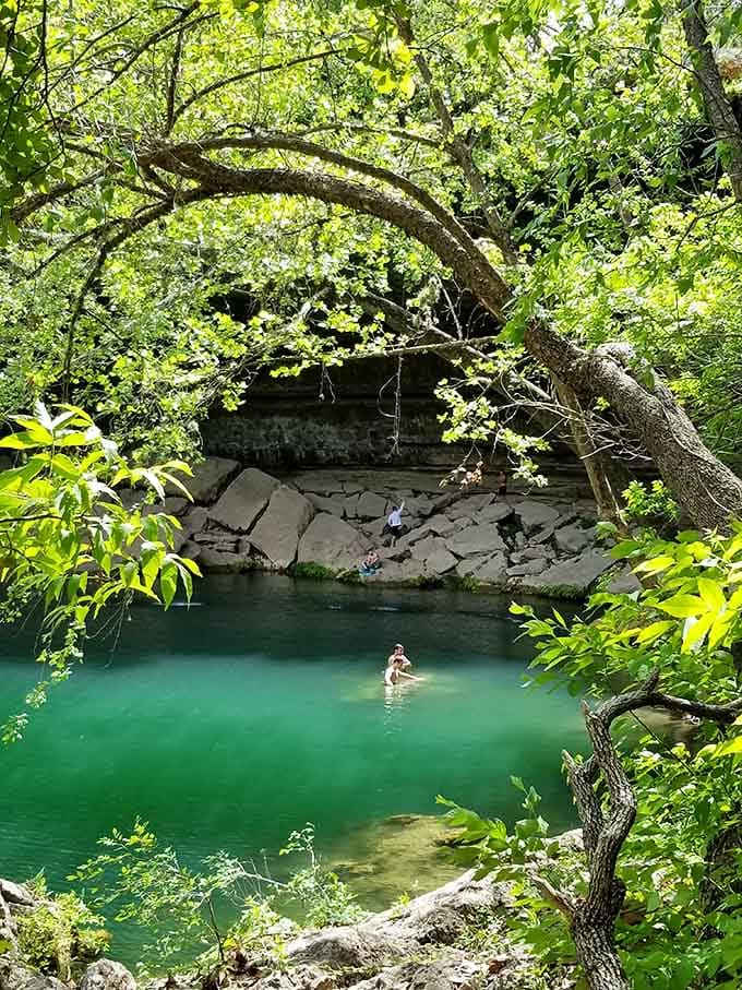 Someone living their best life in jade-green water that's probably colder than they expected, bless them.