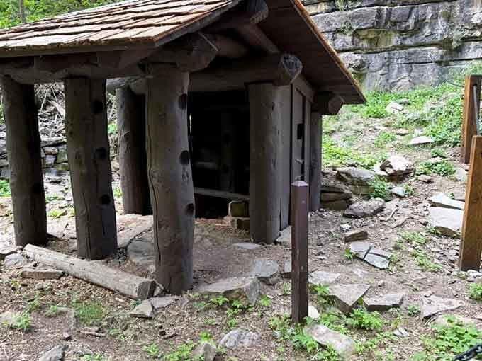The rustic trail shelter stands weathered and sturdy, offering respite like a wooden guardian of weary hikers.