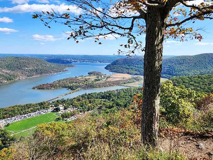The Hudson River from up high, proof that New York's greatest views don't require an elevator.