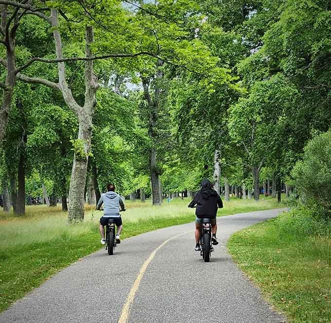 Two cyclists disappearing into a tunnel of green, which is exactly the kind of afternoon that fixes whatever was bothering you.