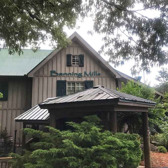 The main lodge welcomes you with that classic mountain architecture that says "adventure starts here, comfort stays throughout."