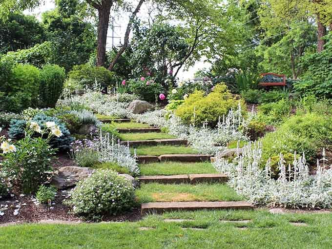 Stone steps, white blooms, and a garden so quietly beautiful it feels like stumbling into someone's best-kept secret.