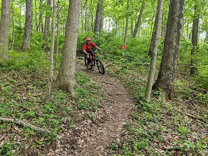 Weaving through the trees on two wheels here is the kind of fun that makes you feel twelve again.