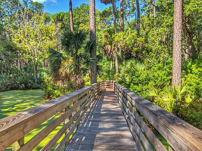 This boardwalk winds through a forest so lush, even Tarzan would consider relocating to the Lowcountry.