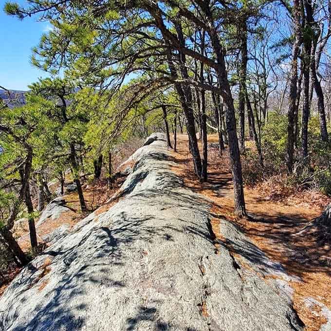 Ancient granite ridgeline stretching toward the sky. This rock has been here longer than your entire family tree.