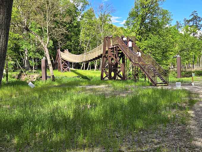 That wooden bridge structure looks like something from an adventure novel your kids are actually living.