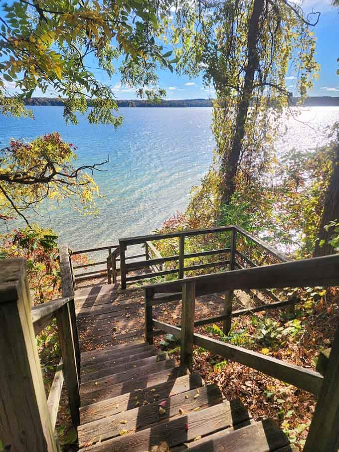 Wooden stairs leading down to crystal-clear water. The best staircase you'll ever be happy to climb back up.