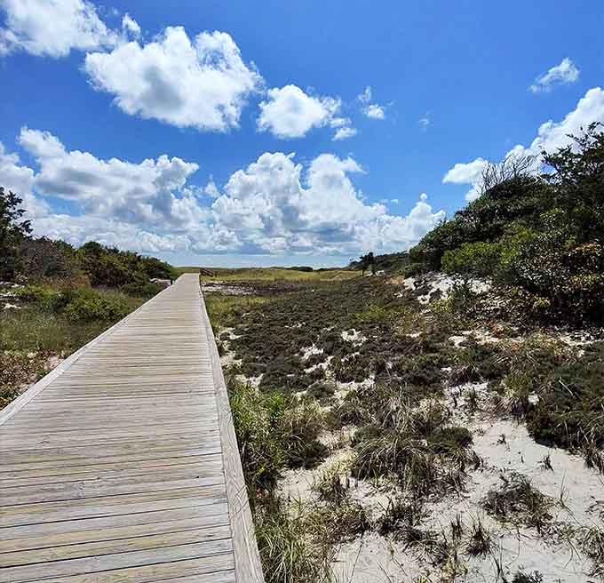 Wooden boardwalks protect fragile ecosystems while giving you front-row seats to unspoiled coastal beauty and wildlife.