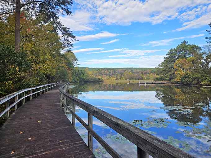 A boardwalk this beautiful deserves a slow, unhurried stroll with absolutely no agenda whatsoever.