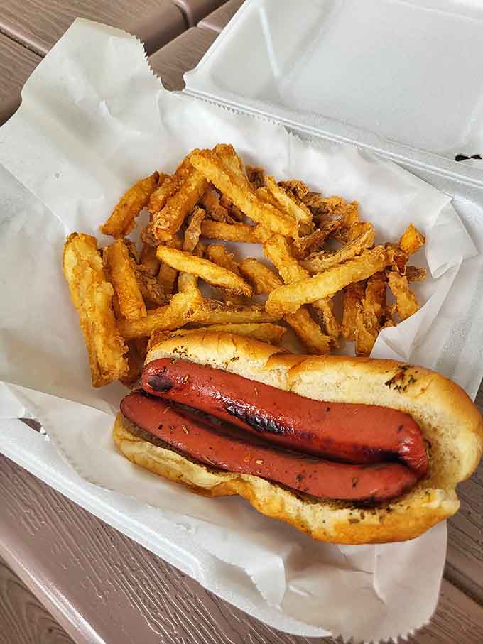 Even the hot dog gets the gourmet treatment with perfectly toasted bun and crispy golden fries alongside.