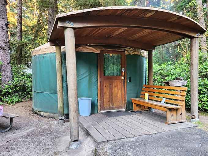 Camping in a yurt means waking up in the forest without sleeping on the ground. Everybody wins.