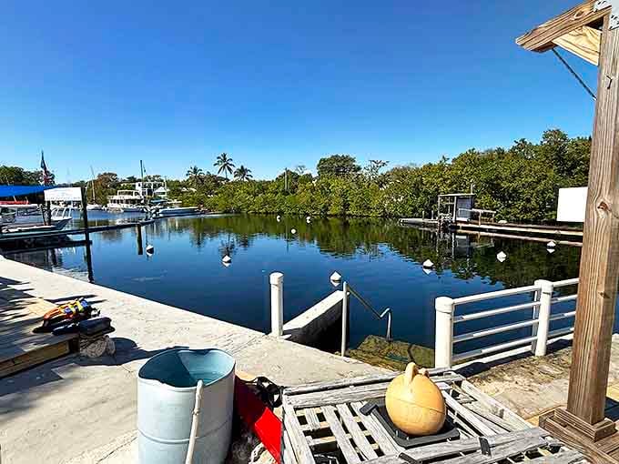 The peaceful lagoon hides your accommodations below, making this the ultimate hidden gem of Key Largo.