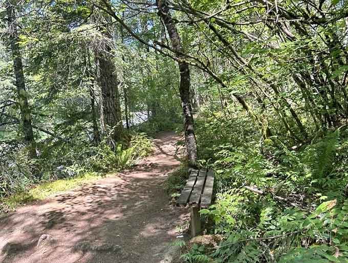 A quiet bench along the trail, patiently waiting for someone who actually needs to sit down and think.