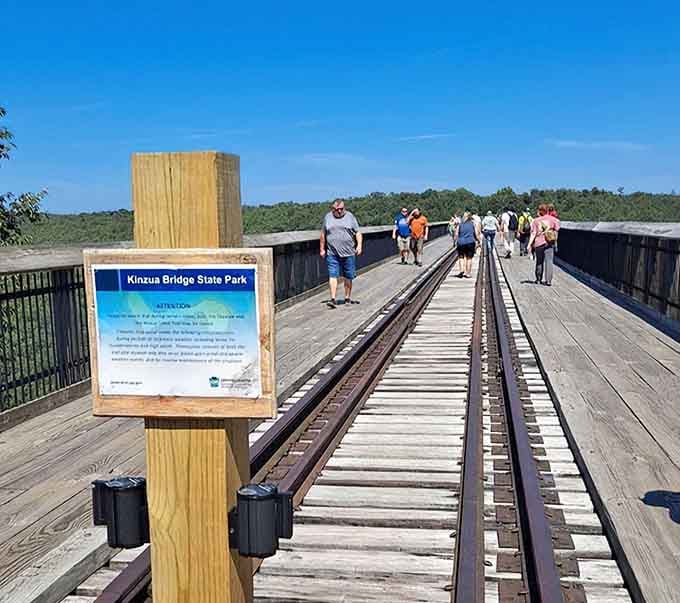 Visitors stroll the skywalk on a perfect blue-sky day, living their best lives 225 feet above the Pennsylvania wilderness.
